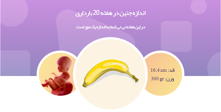 راهنمای کامل ماه پنجم بارداری نکات مهم در ماه پنجم بارداری